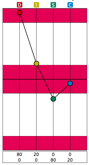 Identifying and Presenting DISC Profiles
