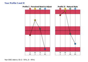Extended DISC® Profile I: Perceived Need to Adjust