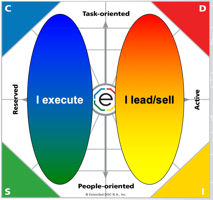 DISC Profiles: 6 Basic Profile Types